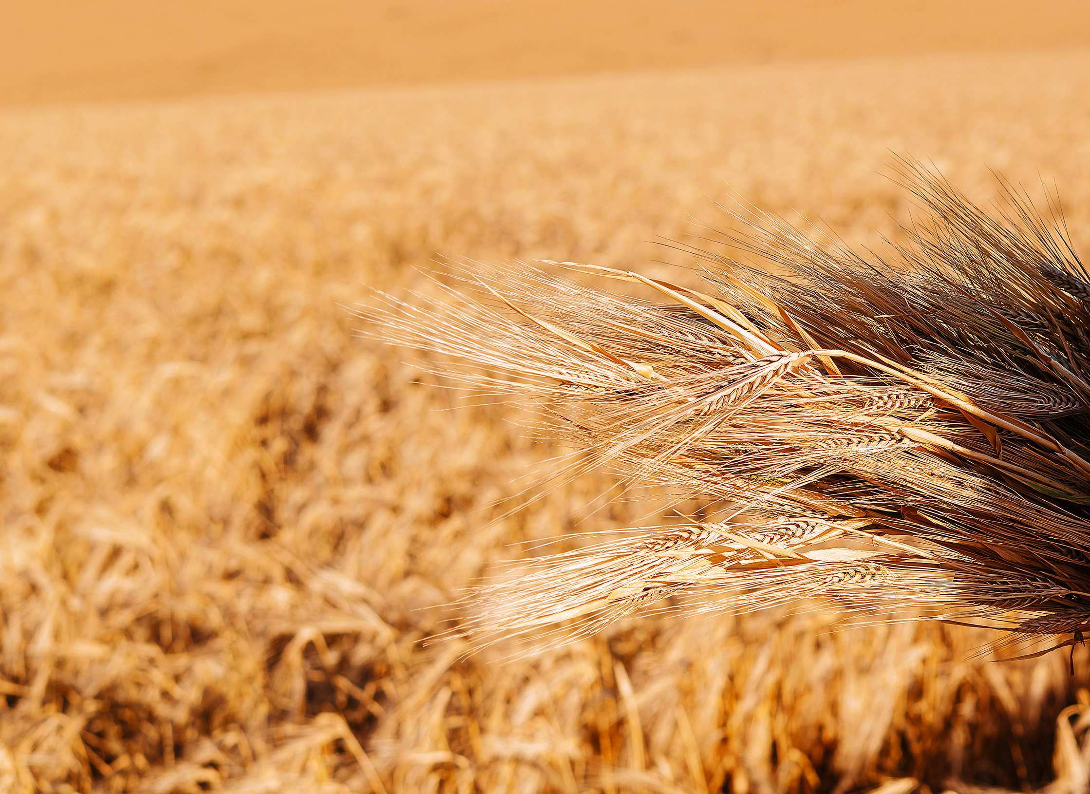 CommTrac Terminal Operating System | TBA Group