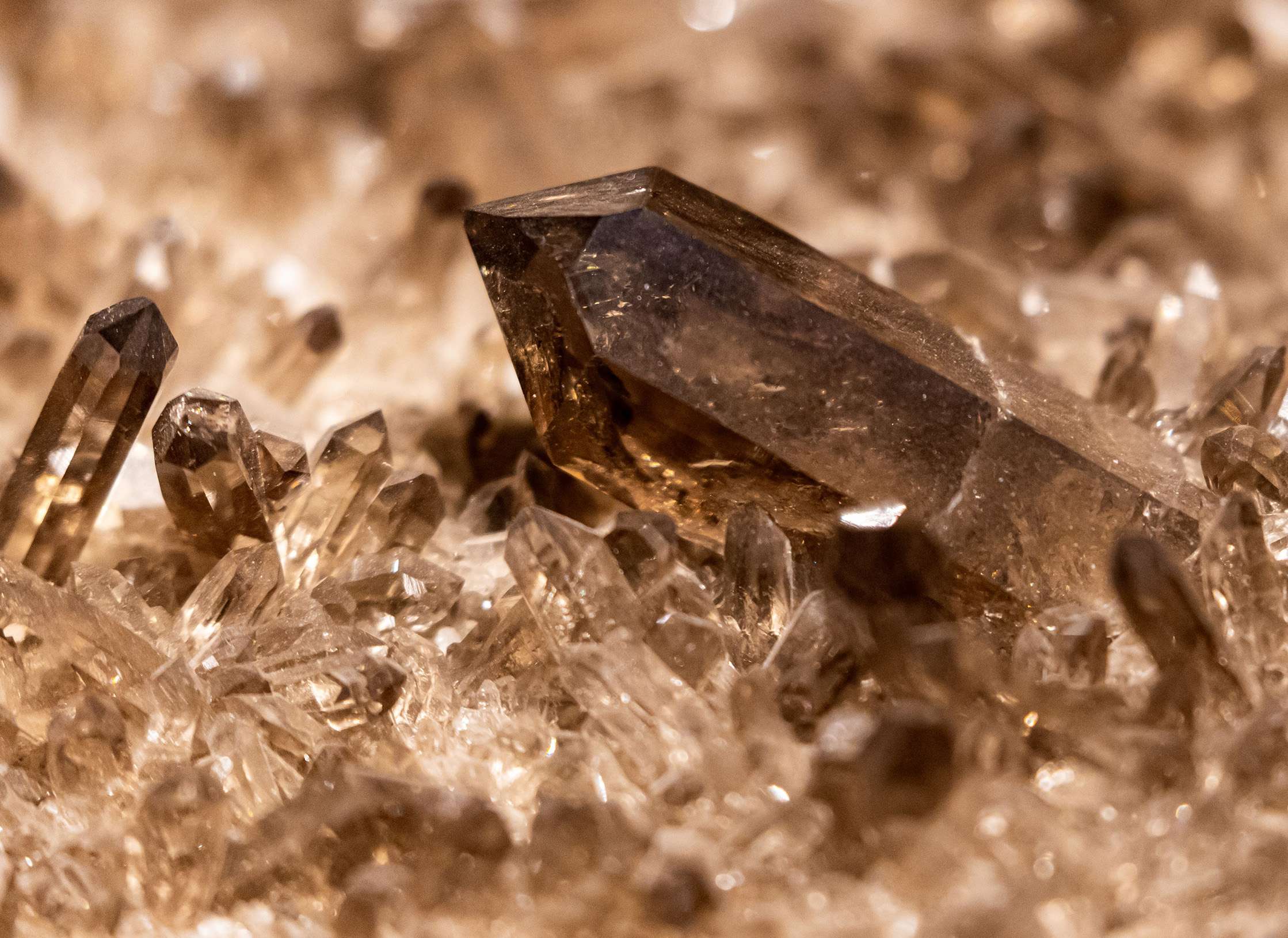 CommTrac Terminal Operating System | TBA Group